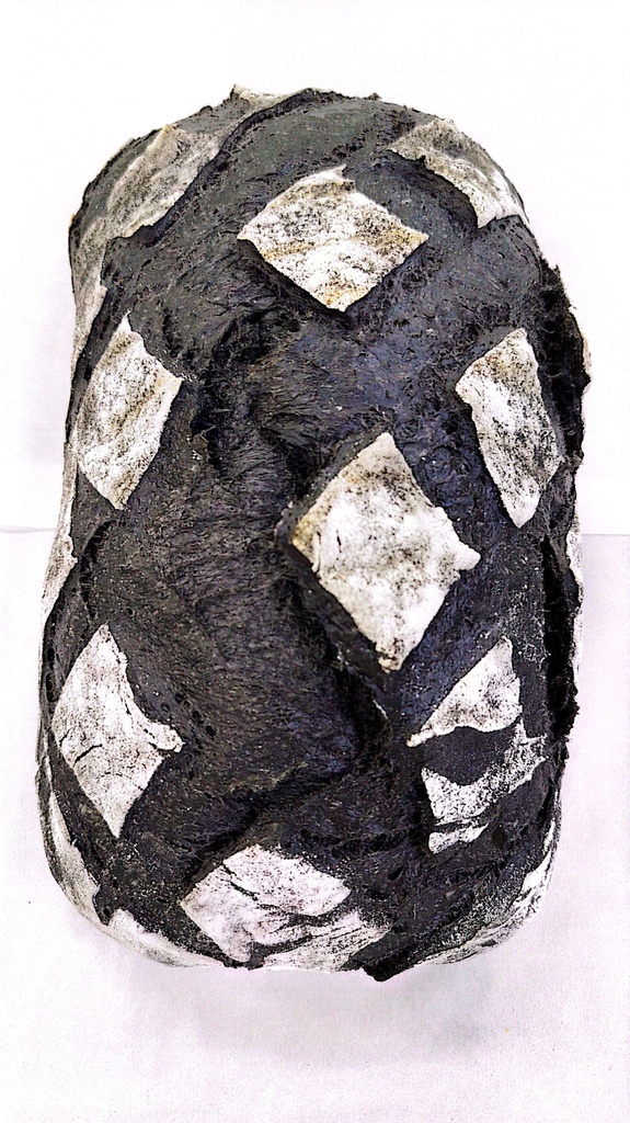 Loaf charcoal square 1100gr Unsliced | LPF